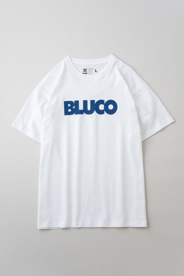 BLUCO – BLUCO. INC